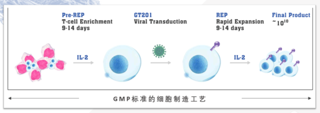 沙砾生物基因编辑型TIL产品获得国家药监局临床试验许可医药新闻-ByDrug-一站式医药资源共享中心-医药魔方