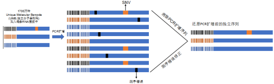 一文讲清！免疫组测序技术研究：RNA VS DNA？多重PCR VS 5'RACE？医药新闻-ByDrug-一站式医药资源共享中心-医药魔方