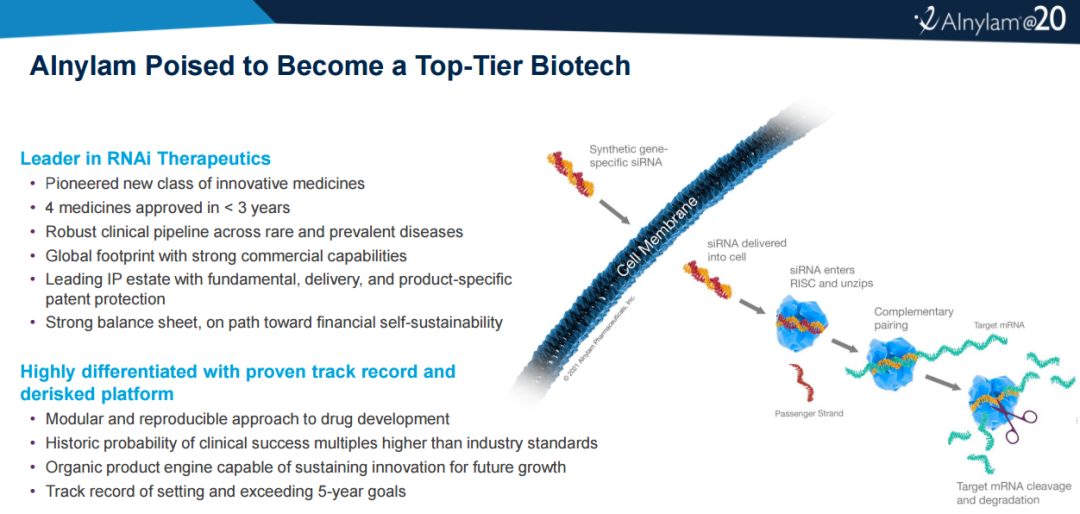 RNAi疗法巨头Alnylam公司管线医药新闻-ByDrug-一站式医药资源共享中心-医药魔方