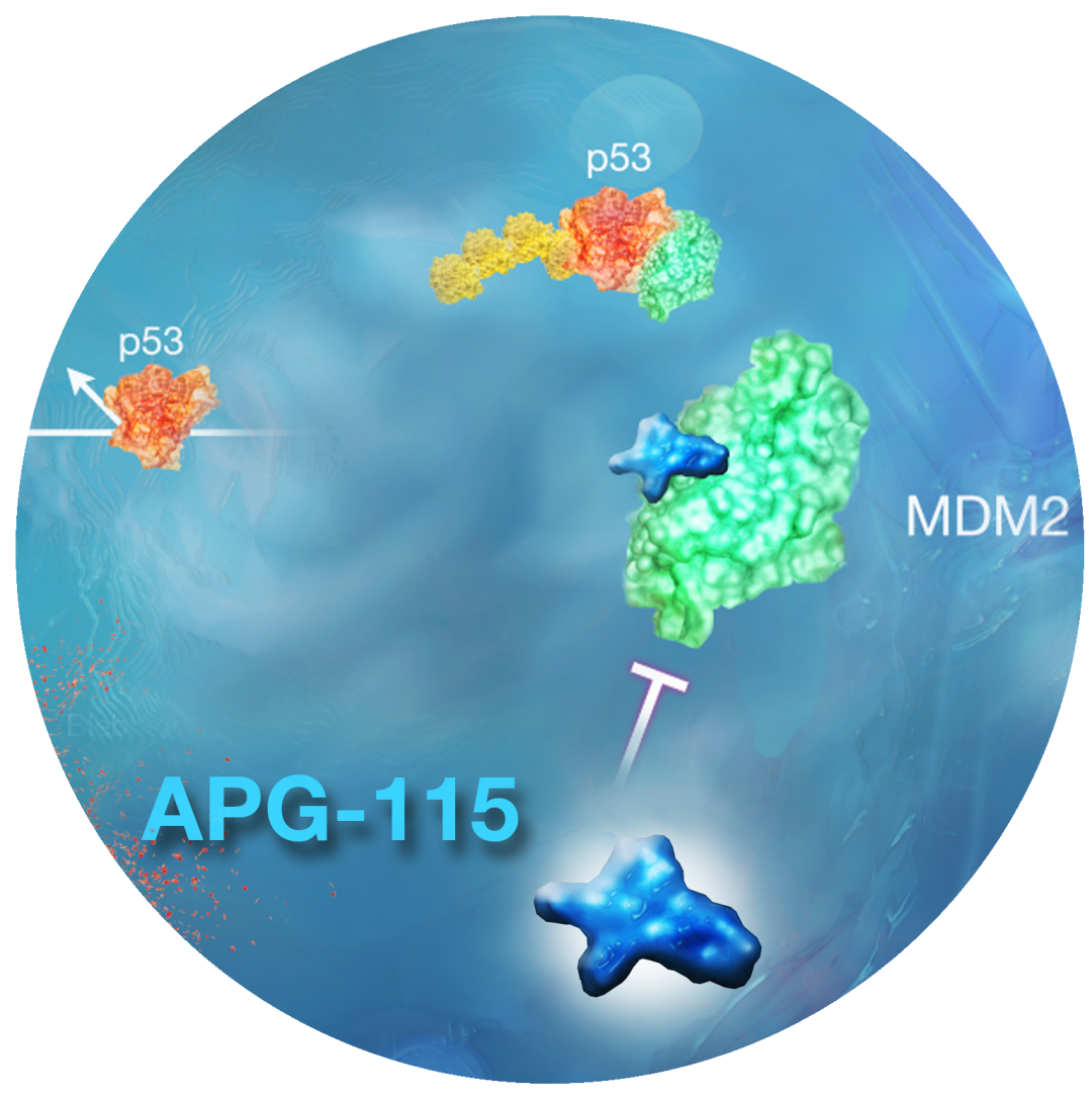 亚盛医药MDM2-p53抑制剂APG-115获得美国FDA儿童罕见病资格认证，用于治疗神经母细胞瘤医药新闻-ByDrug-一站式医药资源共享 ...