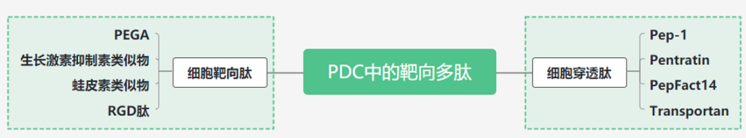 多肽偶联药物（PDC）研究进展医药新闻-ByDrug-一站式医药资源共享中心-医药魔方