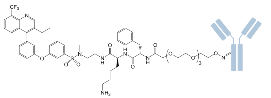 ADCs Beyond Oncology：ADC在非抗肿瘤领域中的研究进展医药新闻-ByDrug-一站式医药资源共享中心-医药魔方