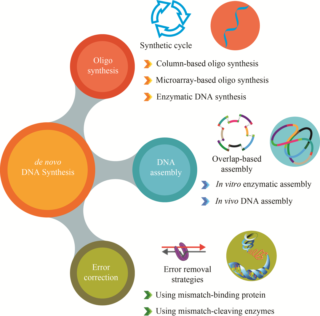 SynBio Insights | DNA合成、组装与纠错技术研究进展医药新闻-ByDrug-一站式医药资源共享中心-医药魔方