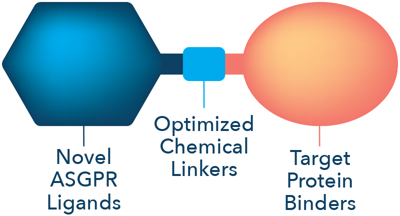 LYTAC之后，ATAC来了！新贵公司携6000万美元种子轮融资亮相医药新闻-ByDrug-一站式医药资源共享中心-医药魔方
