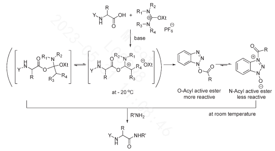 常用多肽缩合剂汇总医药新闻-ByDrug-一站式医药资源共享中心-医药魔方