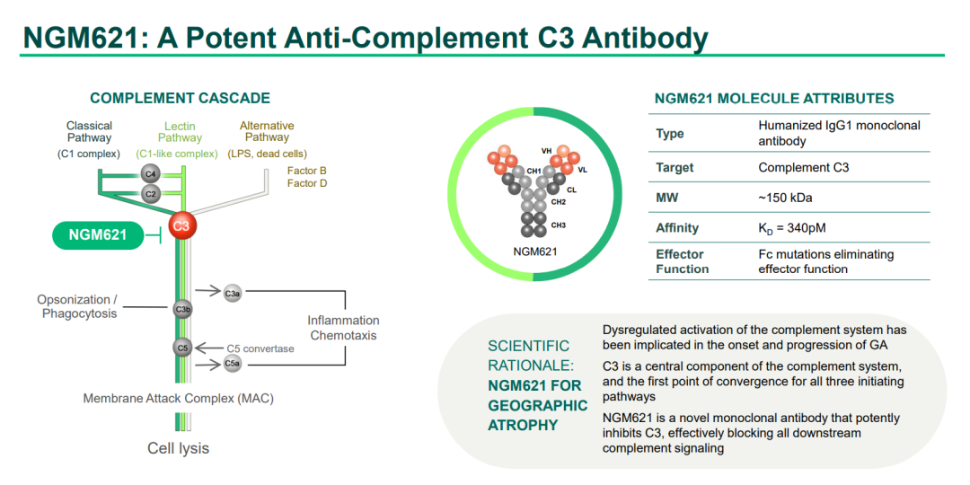补体C3单抗治疗地图样萎缩II期失败，NGM股价下跌70%医药新闻-ByDrug-一站式医药资源共享中心-医药魔方
