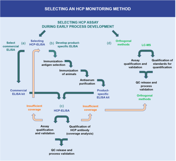 CMC浅谈 | 生物制品的HCP研究医药新闻-ByDrug-一站式医药资源共享中心-医药魔方