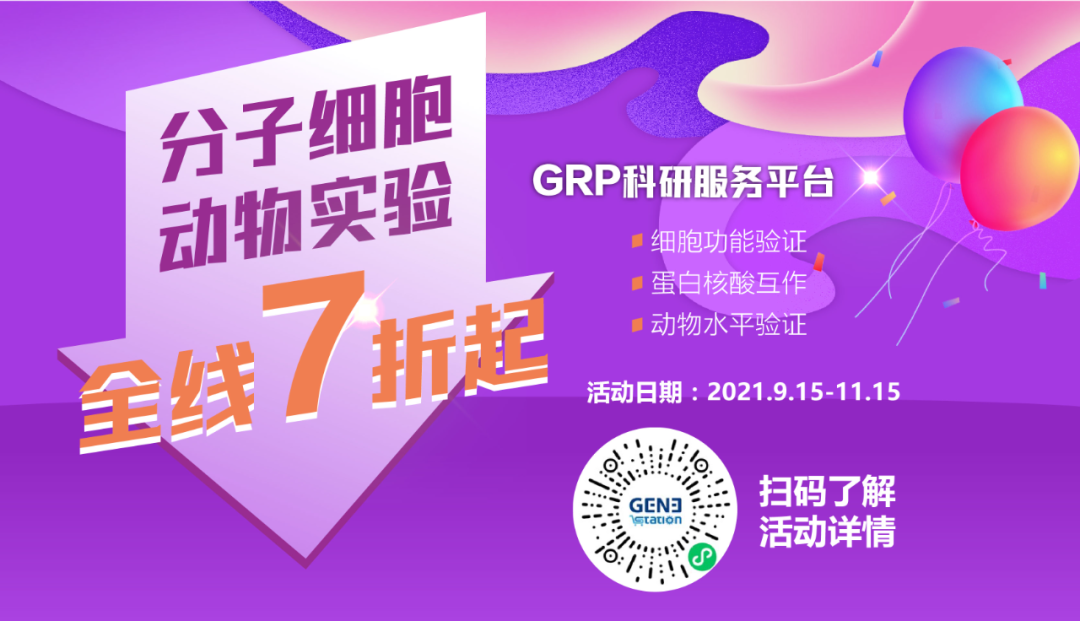 Theranostics:空军军医大学第一附属医院团队揭示NEK9在细胞骨架及胃癌转移中作用和机制医药新闻-ByDrug-一站式医药资源共享中心-医药魔方