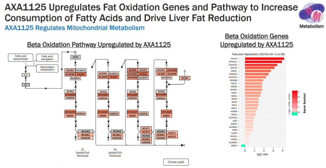 多靶点口服NASH创新疗法IIb期结果积极医药新闻-ByDrug-一站式医药资源共享中心-医药魔方