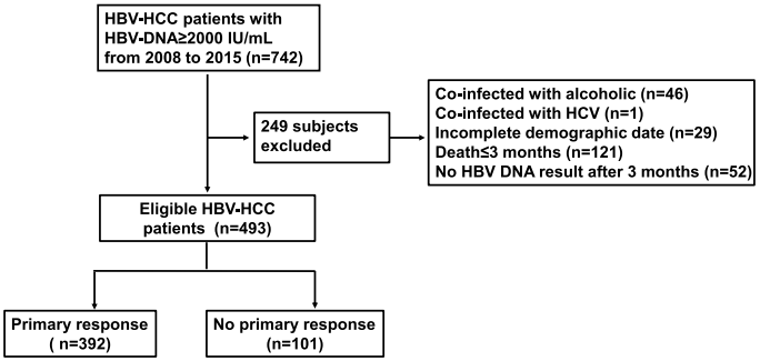 【文献速递】抗病毒治疗原发性无应答可能会缩短HBV-HCC患者的生存时间医药新闻-ByDrug-一站式医药资源共享中心-医药魔方