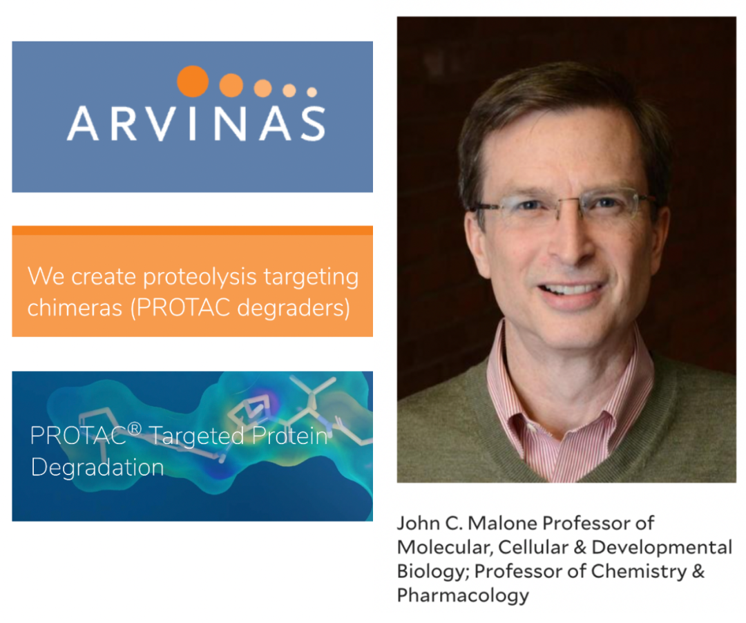 医药公司 | Arvinas—PROTAC技术先行者医药新闻-ByDrug-一站式医药资源共享中心-医药魔方