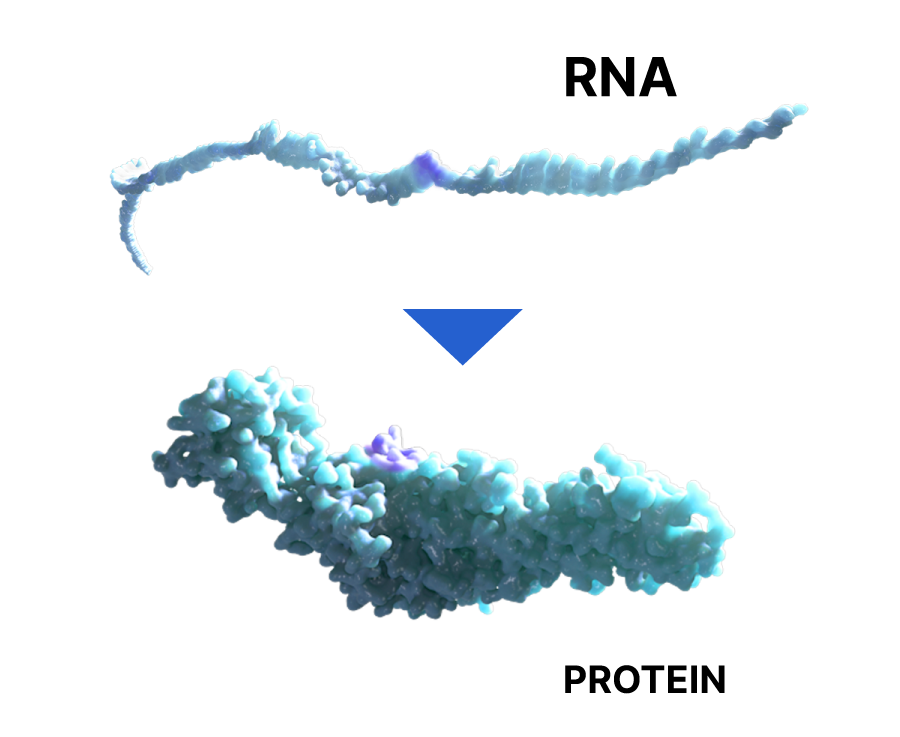 新锐！RNA编辑疗法公司AIRNA完成3000万美元首轮融资，ARCH Venture领投医药新闻-ByDrug-一站式医药资源共享中心-医药魔方