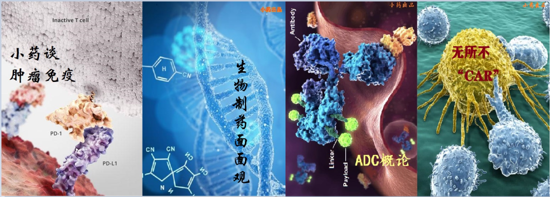 J Immunother Cancer| 安进子公司Teneobio发表PSMA/CD3双抗的作用机理医药新闻-ByDrug-一站式医药资源共享中心-医药魔方
