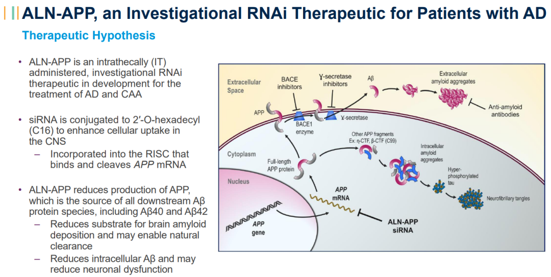 单次注射减少65%淀粉样前体蛋白，RNAi疗法获阳性结果医药新闻-ByDrug-一站式医药资源共享中心-医药魔方