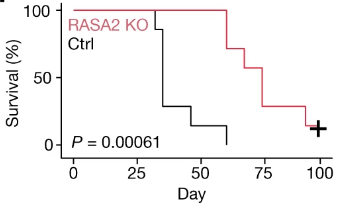 医药前沿│nature：T 细胞中的RASA2消融可提高抗原敏感性和长期功能医药新闻-ByDrug-一站式医药资源共享中心-医药魔方