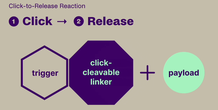 技术源自诺奖，诺华支持的Tagworks融资6500万美元开发「点击化学」ADC药物医药新闻-ByDrug-一站式医药资源共享中心-医药魔方