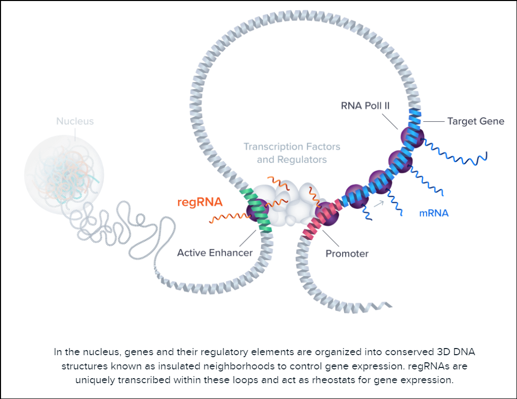 1亿美元B轮融资，推进regRNA平台和管线医药新闻-ByDrug-一站式医药资源共享中心-医药魔方