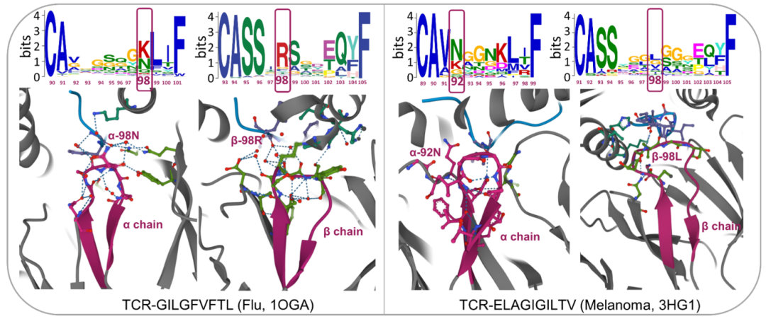 DeepAIR：有效整合序列和3D结构以实现TCR分析医药新闻-ByDrug-一站式医药资源共享中心-医药魔方