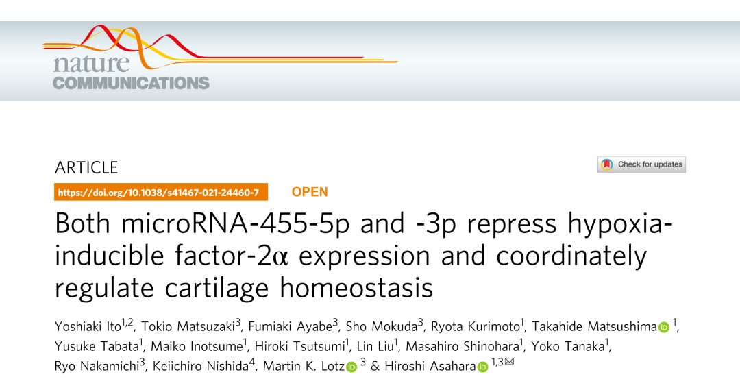 Nature子刊丨miR-455s抑制HIF-2α表达并协同调节软骨稳态医药新闻-ByDrug-一站式医药资源共享中心-医药魔方