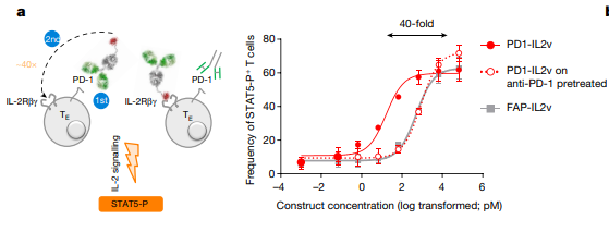 IL-2:非аlpha的偏向性结合是否是错误的道路医药新闻-ByDrug-一站式医药资源共享中心-医药魔方