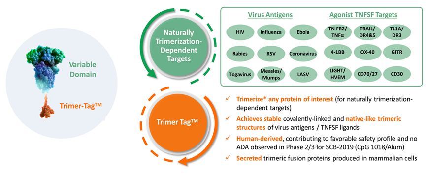 三叶草生物新冠疫苗对青少年人群有效！下半年提交上市申请医药新闻-ByDrug-一站式医药资源共享中心-医药魔方