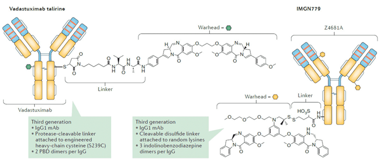 上市抗体偶联药物(ADCs)系列：全球首款ADC Mylotarg®医药新闻-ByDrug-一站式医药资源共享中心-医药魔方