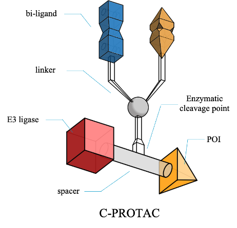 同宜医药与优博生物达成战略合作就双方独创技术平台共同开发靶向蛋白降解产品医药新闻-ByDrug-一站式医药资源共享中心-医药魔方