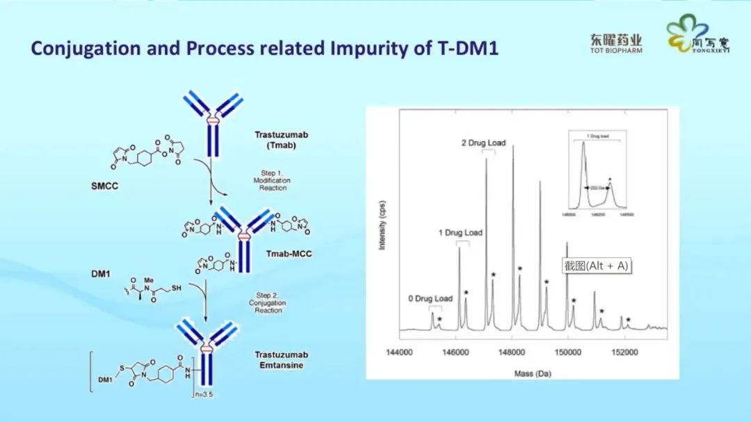 行业洞见 | ADC药物CMC研发的挑战和策略医药新闻-ByDrug-一站式医药资源共享中心-医药魔方