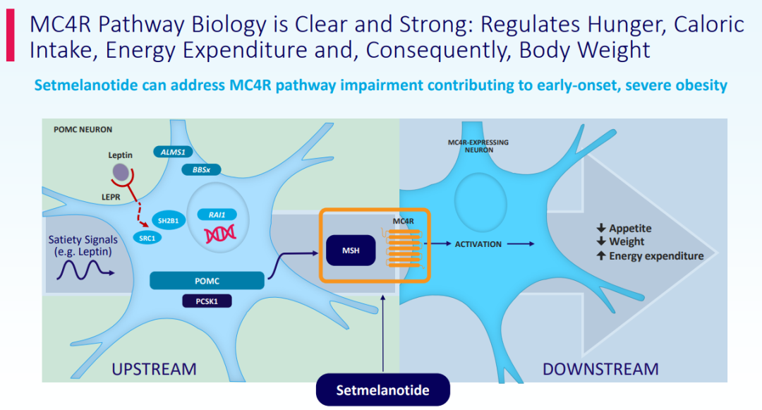 罕见遗传性肥胖疗法setmelanotide在国内首次获批临床医药新闻-ByDrug-一站式医药资源共享中心-医药魔方