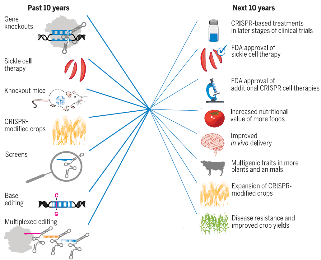 诺奖得主再次Science发文，CRISPR十年发展之路才刚刚开始医药新闻-ByDrug-一站式医药资源共享中心-医药魔方