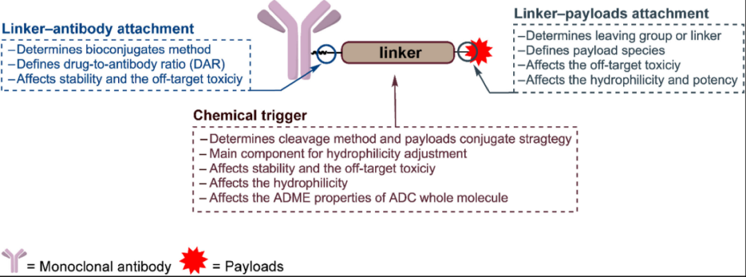动态 | 偶联药物新型linker和payload的研发现状医药新闻-ByDrug-一站式医药资源共享中心-医药魔方
