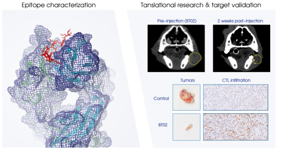 柏全生物完成逾亿元PreA轮融资，加速推进全新靶点抗肿瘤药物研发医药新闻-ByDrug-一站式医药资源共享中心-医药魔方