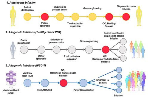 关于通用型CAR-T和TCR-T细胞免疫疗法医药新闻-ByDrug-一站式医药资源共享中心-医药魔方