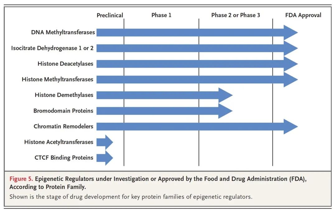 Dr. X | 表观遗传疗法——探寻抗肿瘤药物开发新视角医药新闻-ByDrug-一站式医药资源共享中心-医药魔方