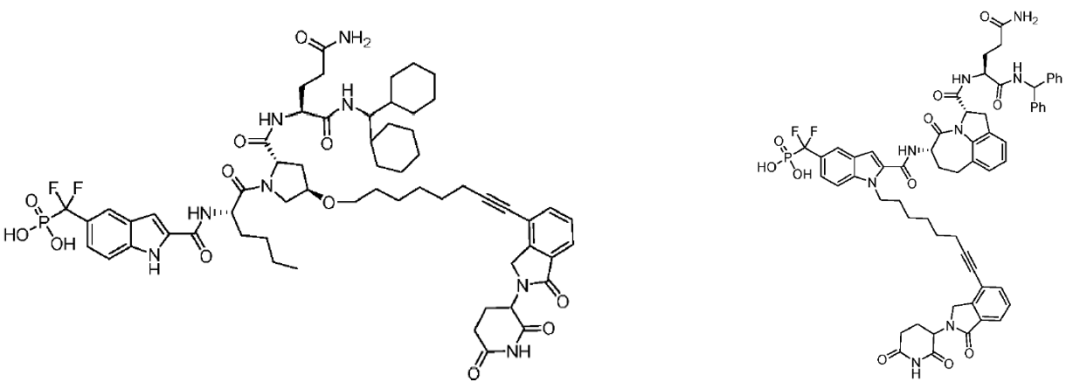 靶向难成药靶点STAT的磷酸肽类抑制剂：花开两朵，各表一枝医药新闻-ByDrug-一站式医药资源共享中心-医药魔方
