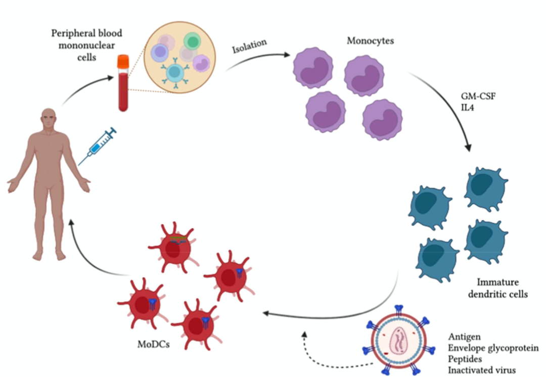安龄学术 ｜ 外泌体破解HIV-1疫苗开发困境医药新闻-ByDrug-一站式医药资源共享中心-医药魔方