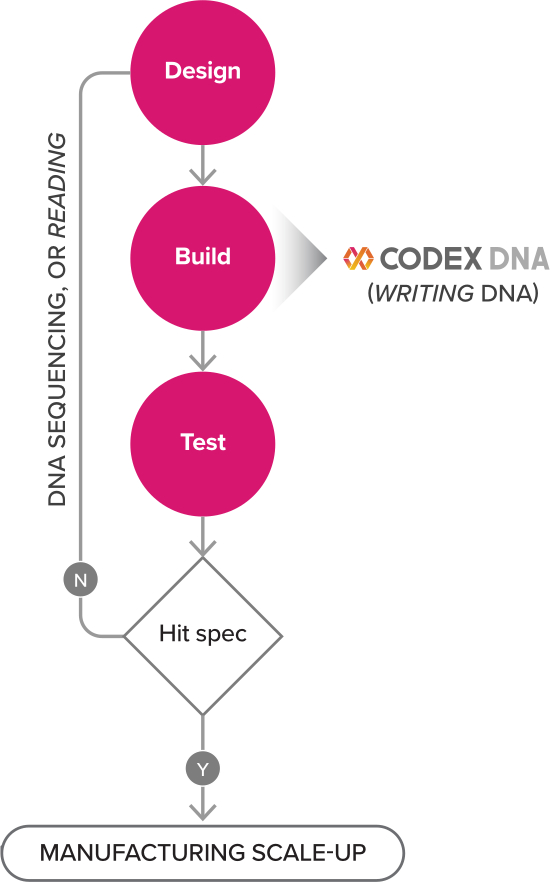 探针资本_上市公司分析：Codex DNA, Inc医药新闻-ByDrug-一站式医药资源共享中心-医药魔方