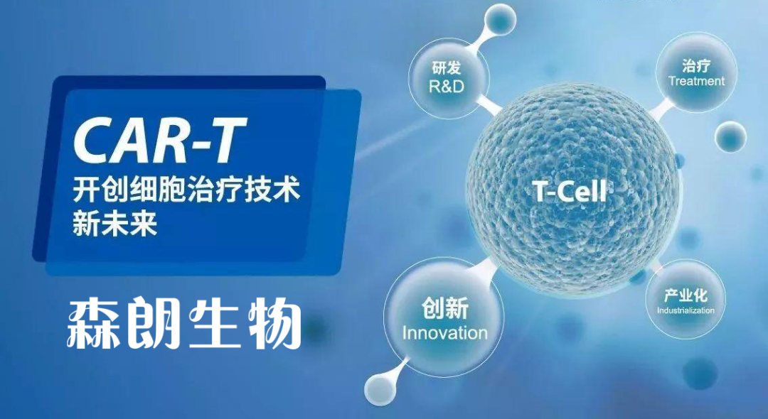 森朗生物靶向CD7 CAR-T产品获批临床医药新闻-ByDrug-一站式医药资源共享中心-医药魔方