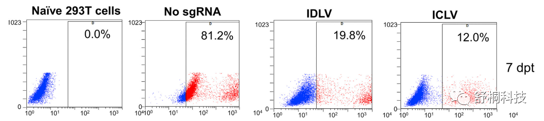 新型基因递送工具 | 非整合型慢病毒（IDLV）医药新闻-ByDrug-一站式医药资源共享中心-医药魔方