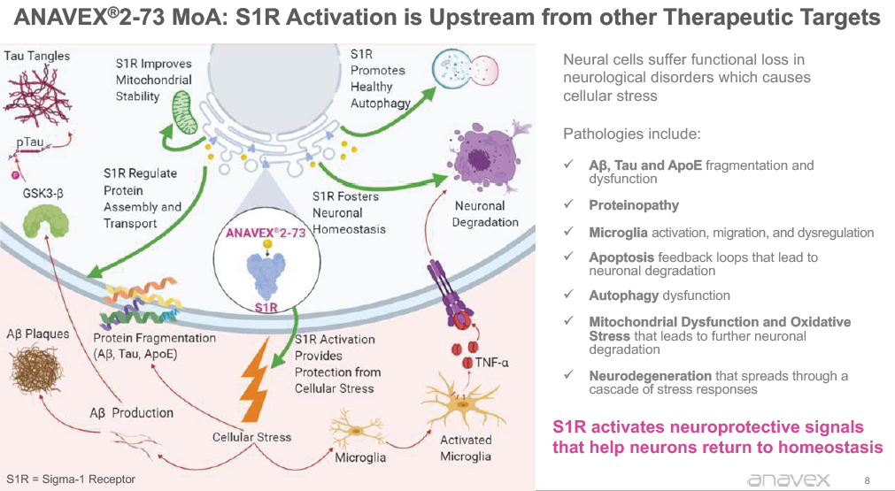 靶向Sigma-1受体，阿尔兹海默病新药IIb/III期研究成功医药新闻-ByDrug-一站式医药资源共享中心-医药魔方