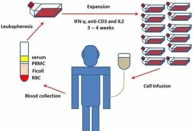 除了120万一针的CAR-T，还有两大抗癌疗法CIK、NK，你都分得清吗？医药新闻-ByDrug-一站式医药资源共享中心-医药魔方