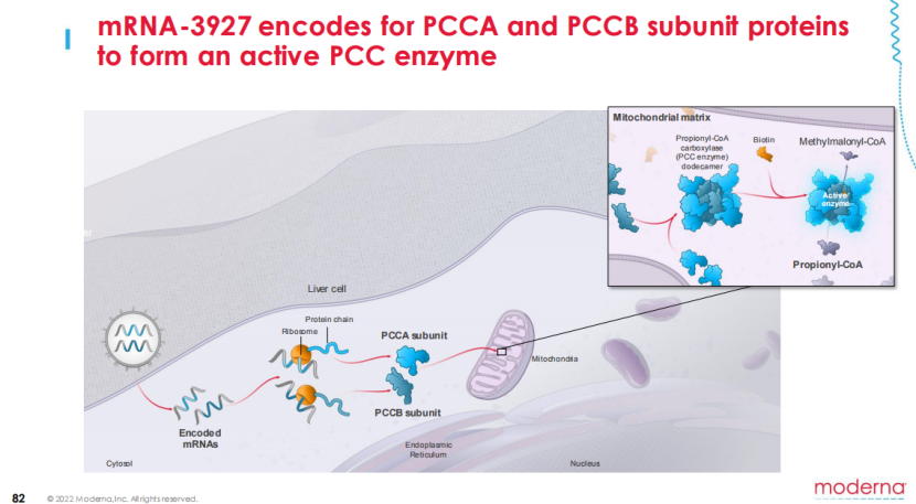 Moderna：传染病、肿瘤、罕见病mRNA疫苗全面推进医药新闻-ByDrug-一站式医药资源共享中心-医药魔方