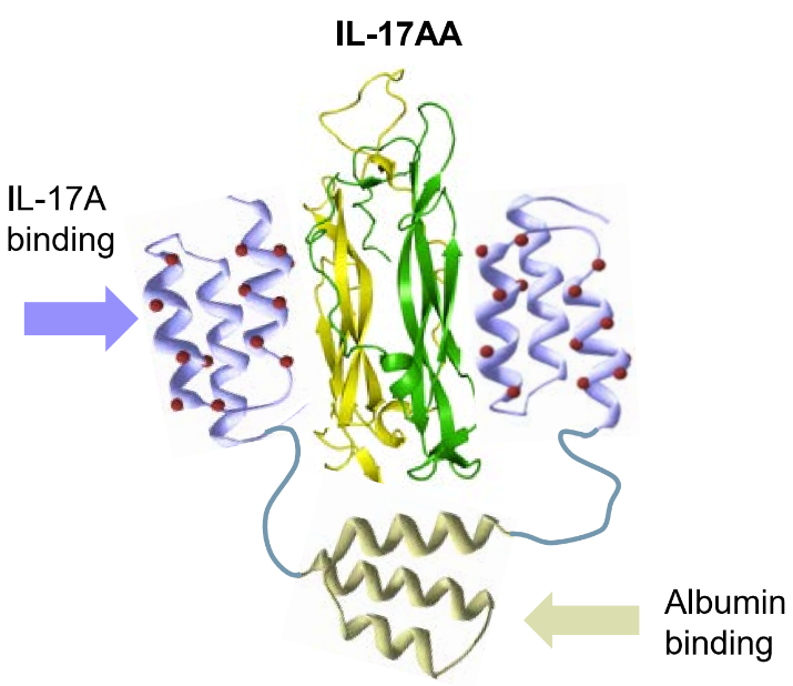创响公布IL-17A融合蛋白拮抗剂治疗中重度化脓性汗腺炎IIb/III期数据医药新闻-ByDrug-一站式医药资源共享中心-医药魔方