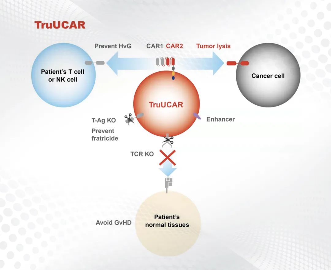 写意报告丨详解亘喜生物TruUCAR通用性CAR-T细胞平台的开发和进展医药新闻-ByDrug-一站式医药资源共享中心-医药魔方