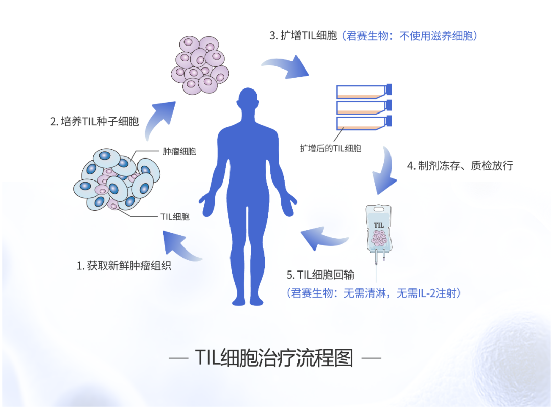 君赛生物首款TIL细胞新药获得NMPA临床试验默示许可医药新闻-ByDrug-一站式医药资源共享中心-医药魔方