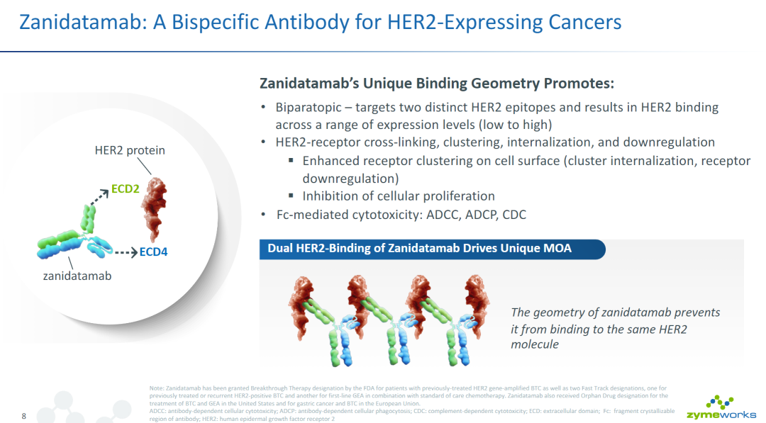 Zymeworks HER2双抗二线治疗胆道癌IIb期研究成功医药新闻-ByDrug-一站式医药资源共享中心-医药魔方