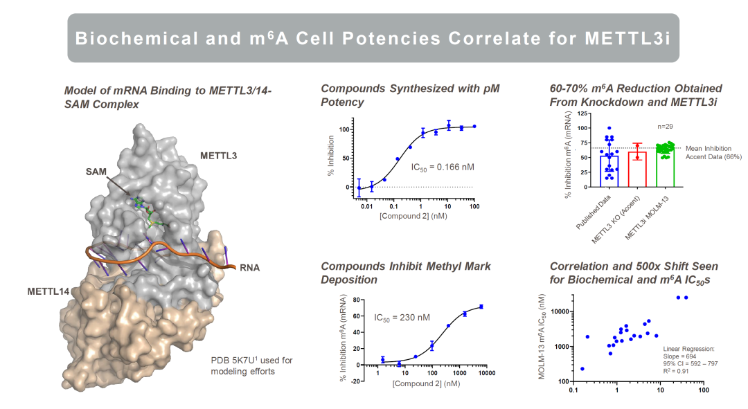 Dr. X | 表观遗传疗法——探寻抗肿瘤药物开发新视角医药新闻-ByDrug-一站式医药资源共享中心-医药魔方