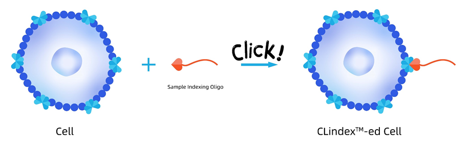 知·元|| 新格元2021年单细胞家族添丁记医药新闻-ByDrug-一站式医药资源共享中心-医药魔方