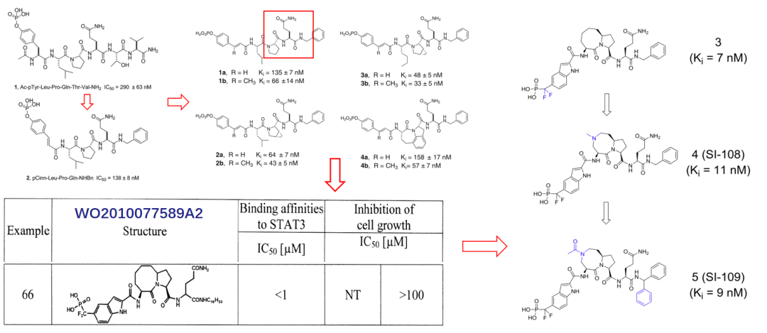 靶向难成药靶点STAT的磷酸肽类抑制剂：花开两朵，各表一枝医药新闻-ByDrug-一站式医药资源共享中心-医药魔方