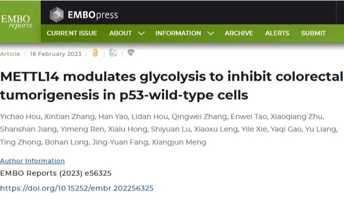【EMBO Rep】孟祥军/房静远团队揭示METTL14抑制p53野生型结直肠癌发展的新机制医药新闻-ByDrug-一站式医药资源共享中心-医药魔方